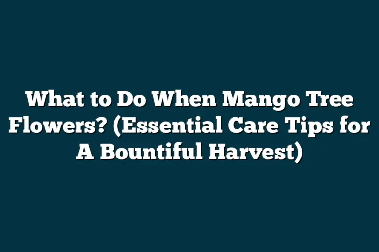 What to Do When Mango Tree Flowers? (Essential Care Tips for A ...