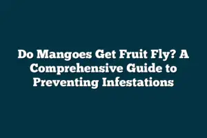Do Mangoes Get Fruit Fly? A Comprehensive Guide to Preventing ...