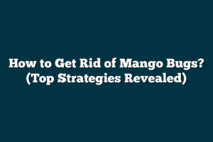 How to Get Rid of Mango Bugs? (Top Strategies Revealed ...