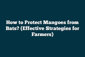 How to Protect Mangoes from Bats? (Effective Strategies for Farmers ...
