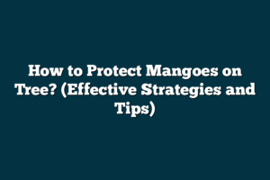 How to Protect Mangoes on Tree? (Effective Strategies and Tips ...