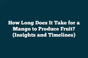 How Long Does It Take for a Mango to Produce Fruit? (Insights and Timelines) – fruitspursuits.com
