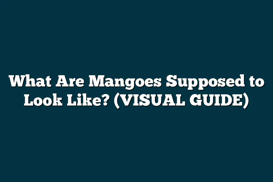 What Are Mangoes Supposed to Look Like? (VISUAL GUIDE) – fruitspursuits.com