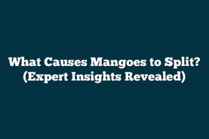 What Causes Mangoes to Split? (Expert Insights Revealed) – fruitspursuits.com