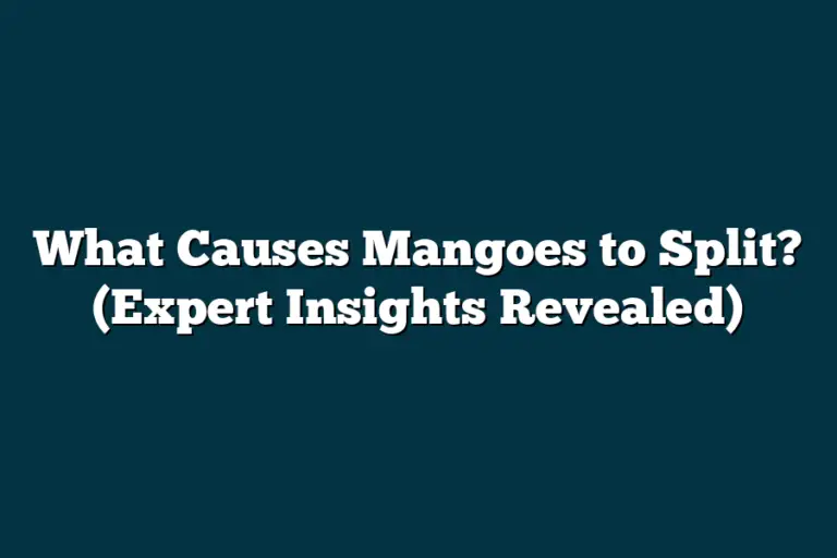 What Causes Mangoes to Split? (Expert Insights Revealed ...