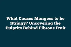 What Causes Mangoes to be Stringy? Uncovering the Culprits Behind ...