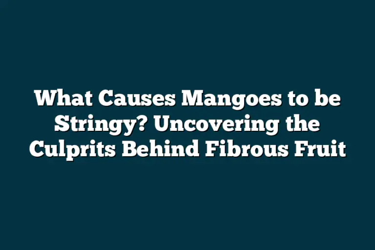 What Causes Mangoes to be Stringy? Uncovering the Culprits Behind ...