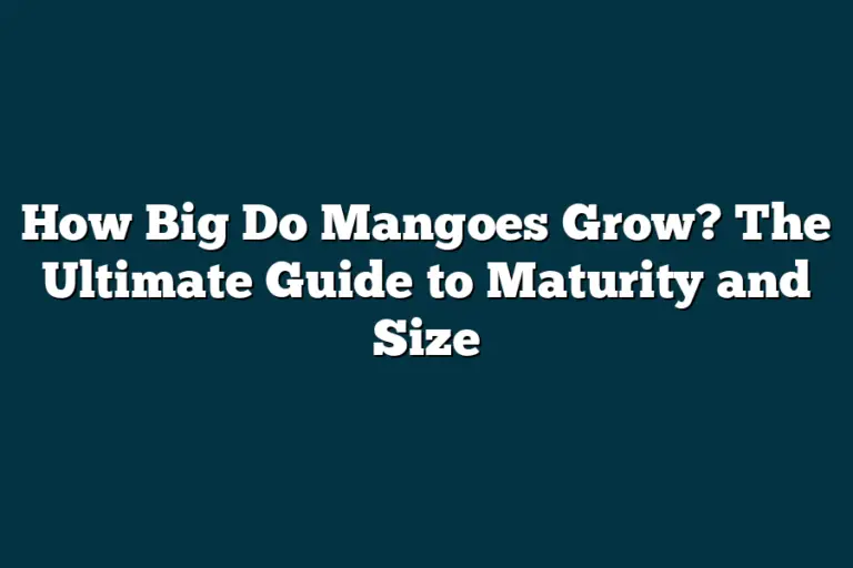 How Big Do Mangoes Grow? The Ultimate Guide to Maturity and Size ...