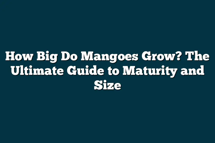 How Big Do Mangoes Grow? The Ultimate Guide to Maturity and Size ...
