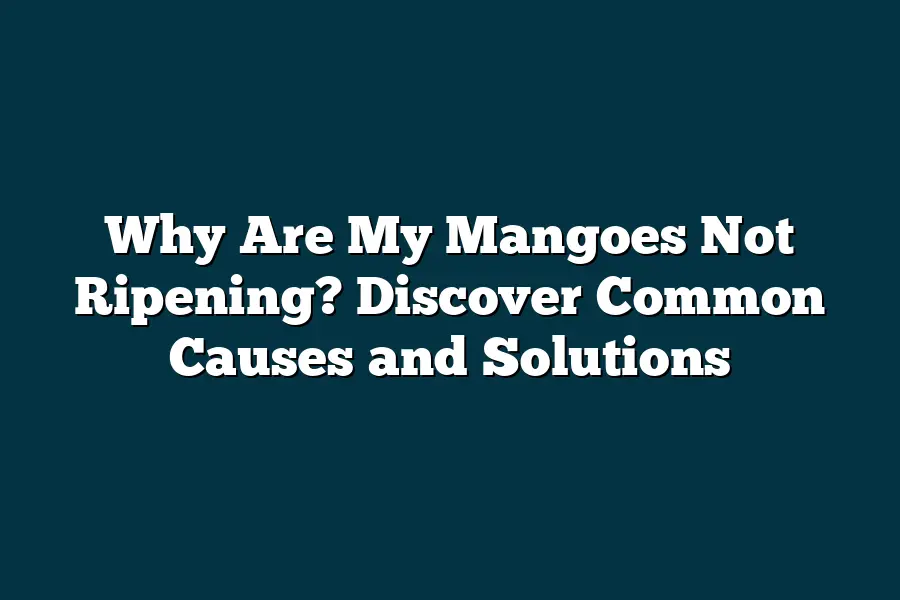 Why Are My Mangoes Not Ripening? Discover Common Causes and Solutions ...